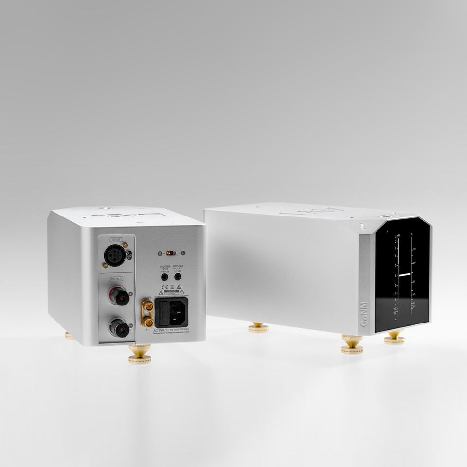 Laiv Audio Harmony Gan - Class D amplifier (couple) – Audio Essence